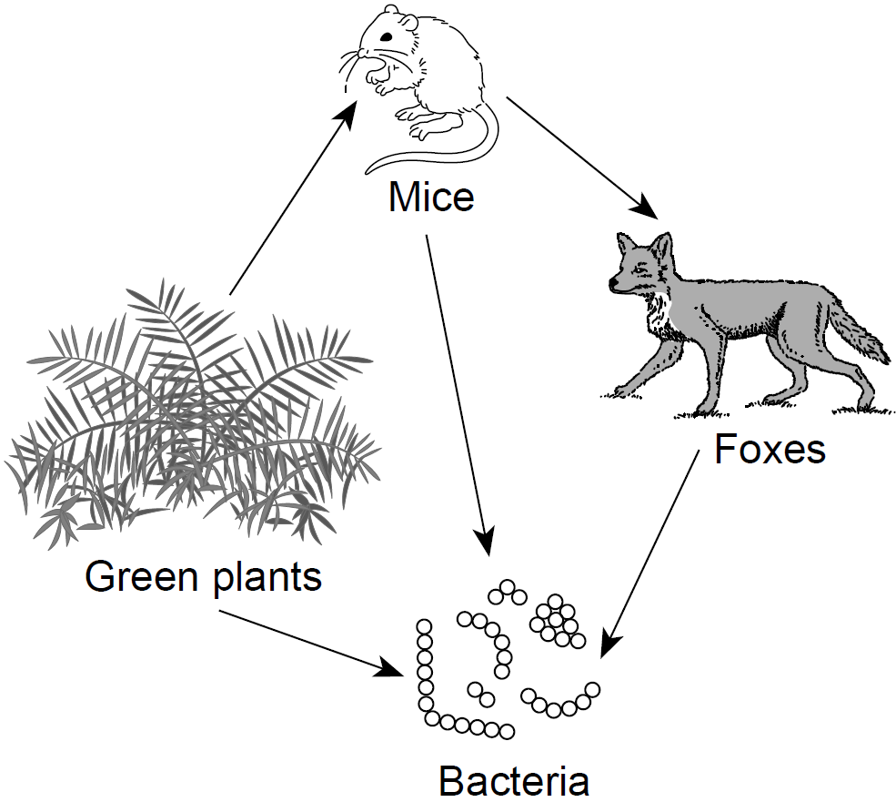 Unit 4: Ecology-Human Impact Review Jeopardy Template